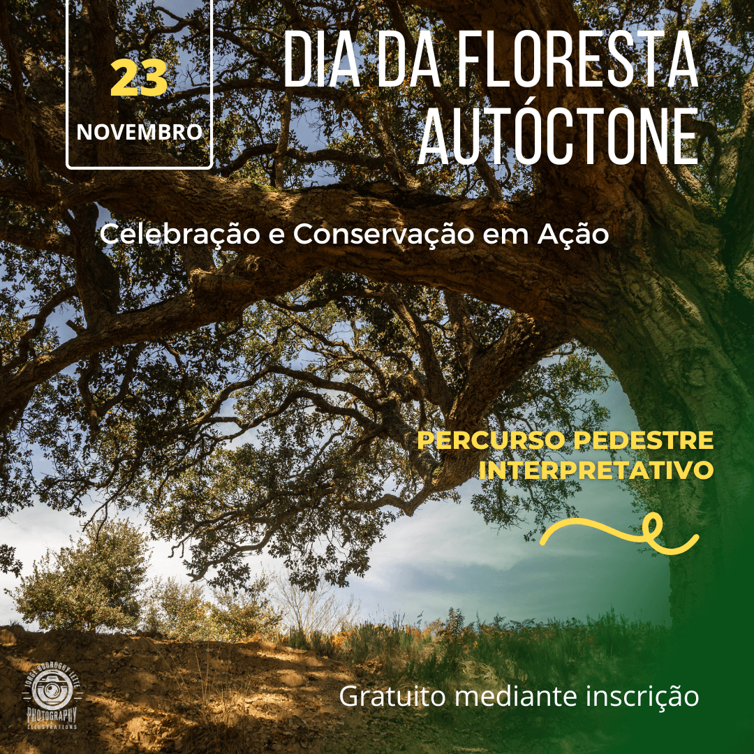 Dia da Floresta Autóctone: Celebração e Conservação em Ação - Tapada ...